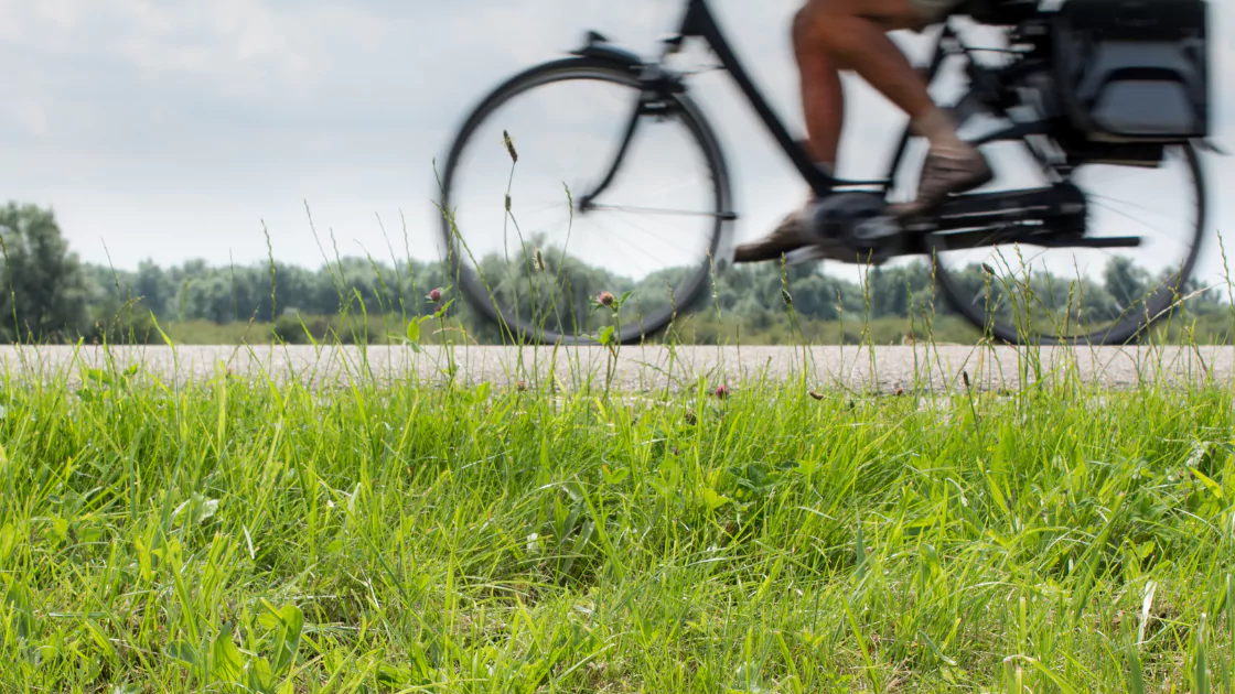 The Cyclist Choice - The Cyclist Choice